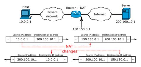 Understanding Nated Definition: Unlocking the Meaning and Significance ...
