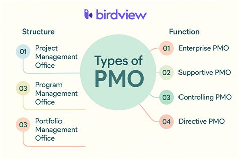 Pmo Explained: Definition & Examples - DID YOU KNOW!