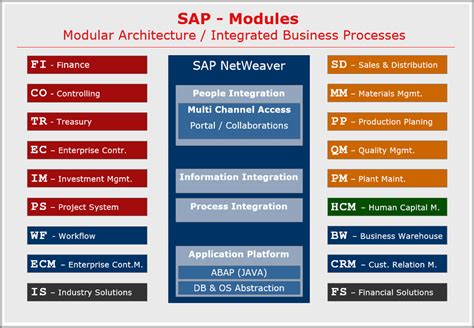 Unlocking Business Potential with Comprehensive SAP Modules Guide ...