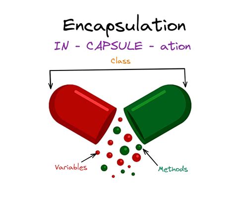 Unveiling the Mysteries: What is Encapsulation in Programming ...